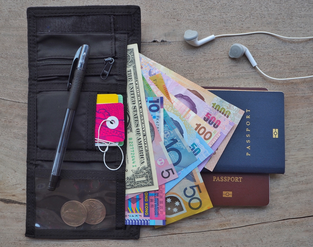 The Best Travel Wallets To Buy In 2021 | TravelAwaits