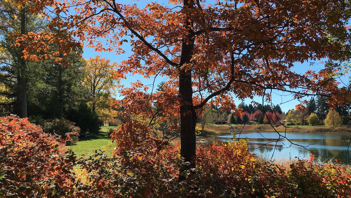 15 Festive Things To Do In Wisconsin In The Fall | TravelAwaits