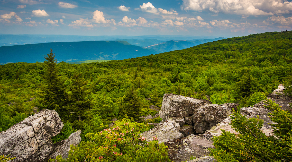 Exploring West Virginia’s Country Roads From Morgantown To Lewisburg