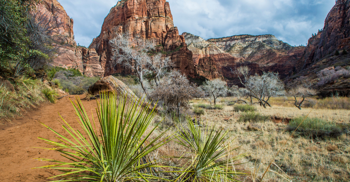 Why The Tiny Town Of Orderville, Utah Could Become A Boomtown This ...