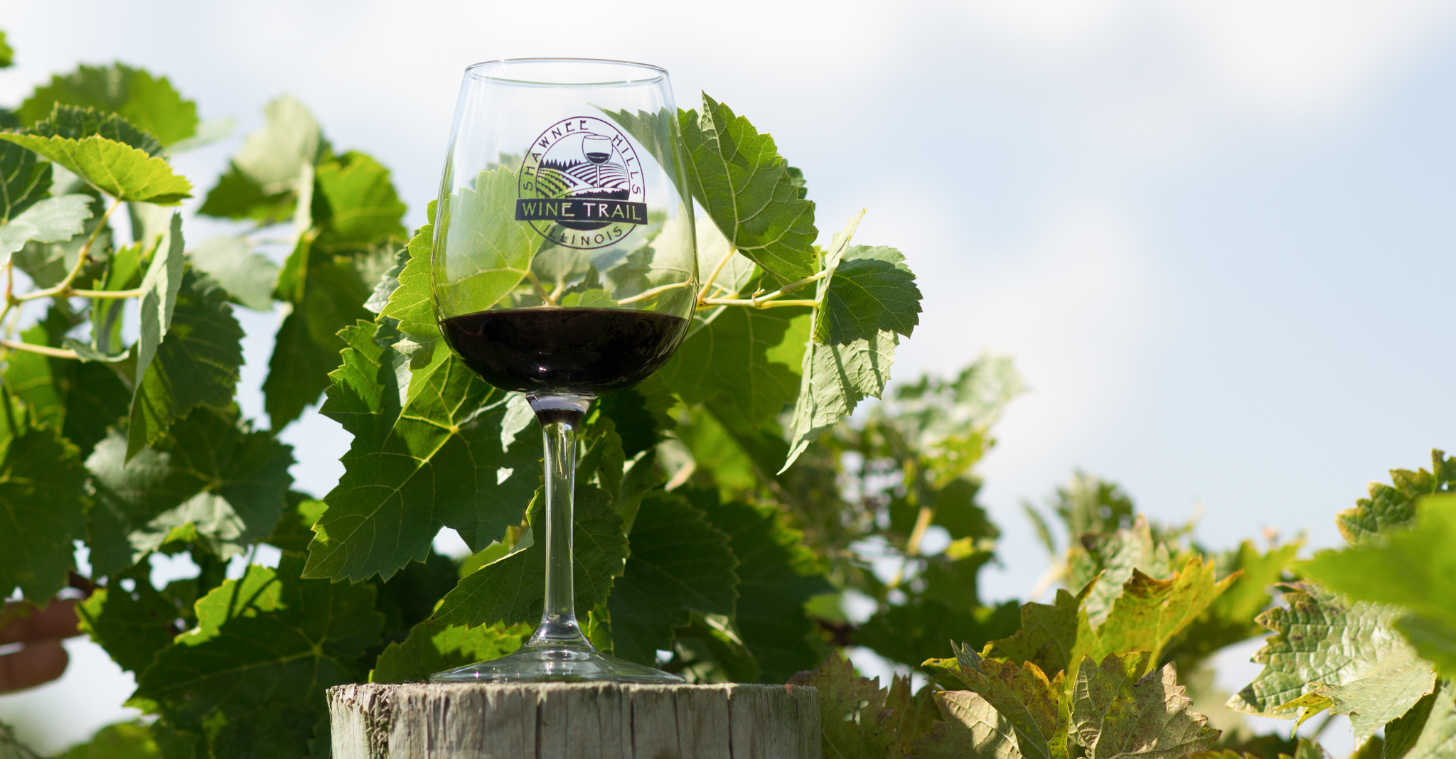 Best Things To Do Along The Shawnee Wine Trail