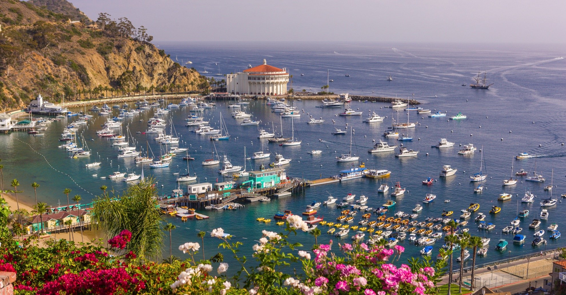 How To Spend A Day On Catalina Island