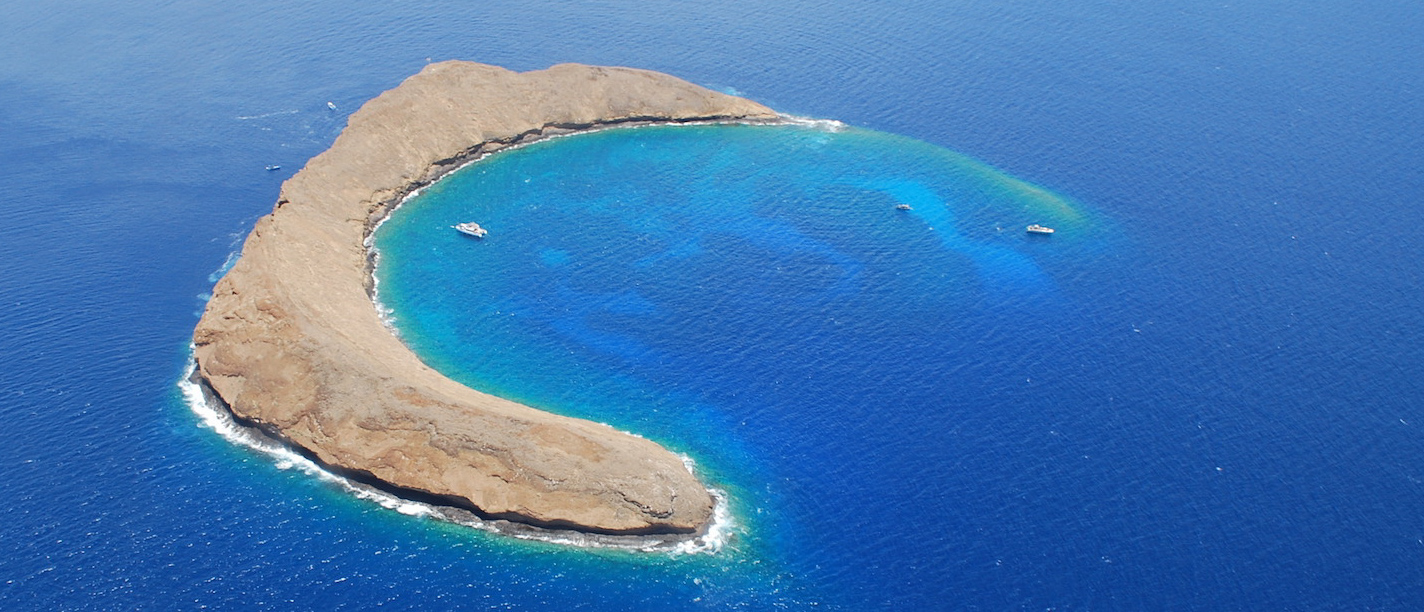 11 Things To Know Before Snorkeling In Hawaii's Molokini Crater