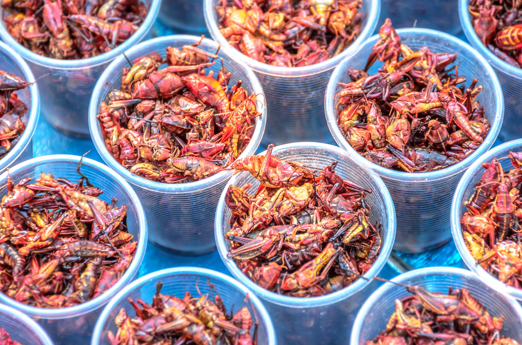 The Culinary Tradition Behind Chapulines: Oaxaca’s Fried Grasshoppers ...