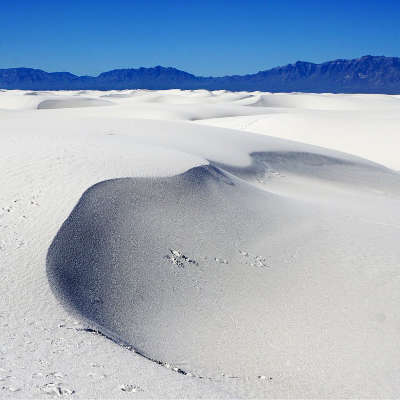 7 Things To Know About White Sands National Park