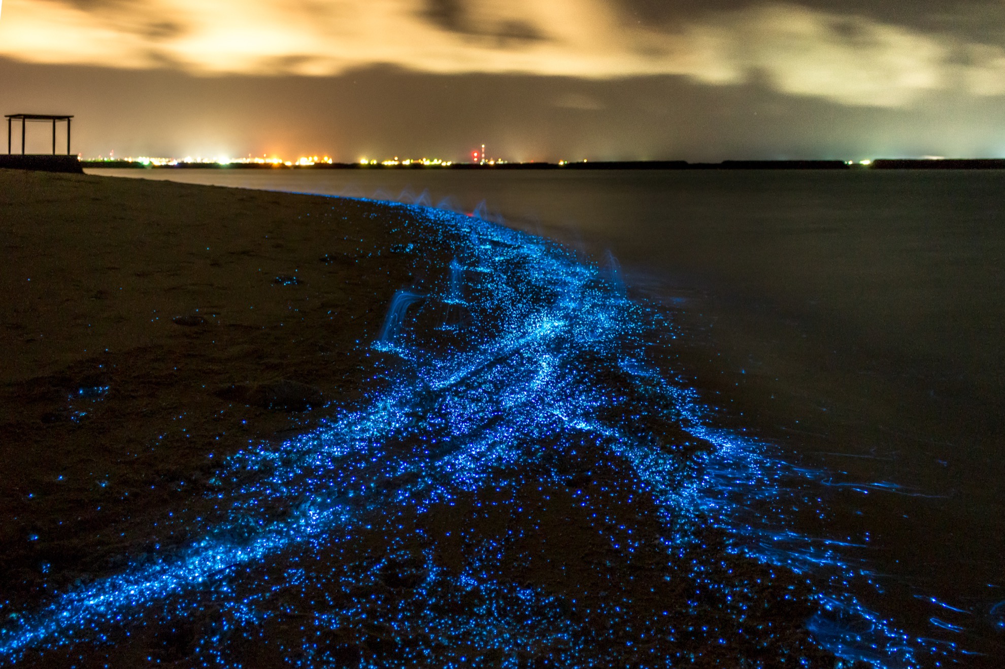 This Beach In The Maldives Actually Glows In The Dark | TravelAwaits