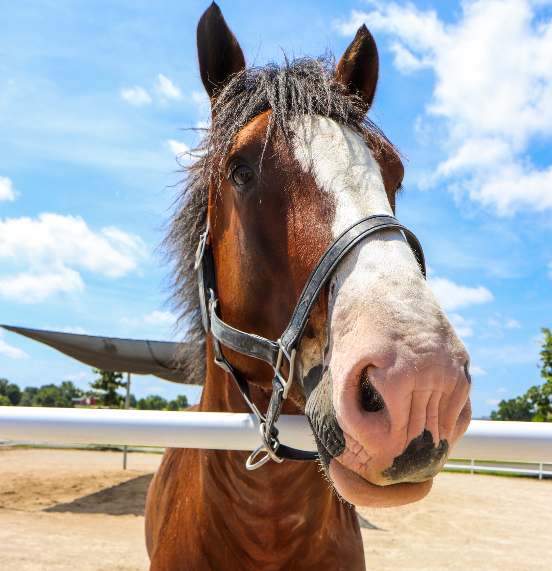 How To Visit Warm Springs Ranch | TravelAwaits
