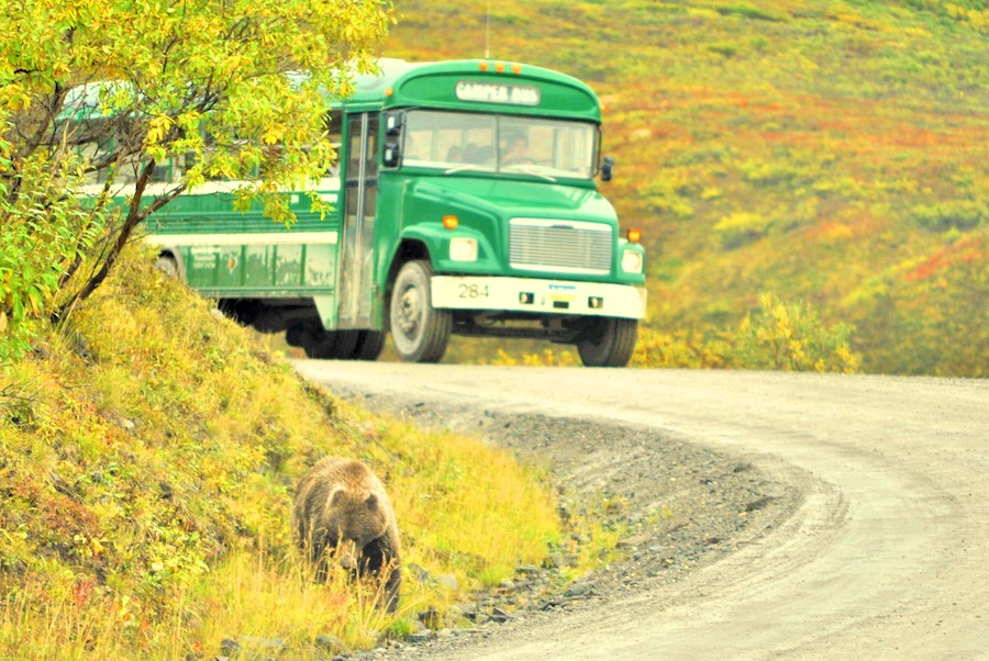 Epic Alaska RV Road Trip: Valdez To Hayder | TravelAwaits