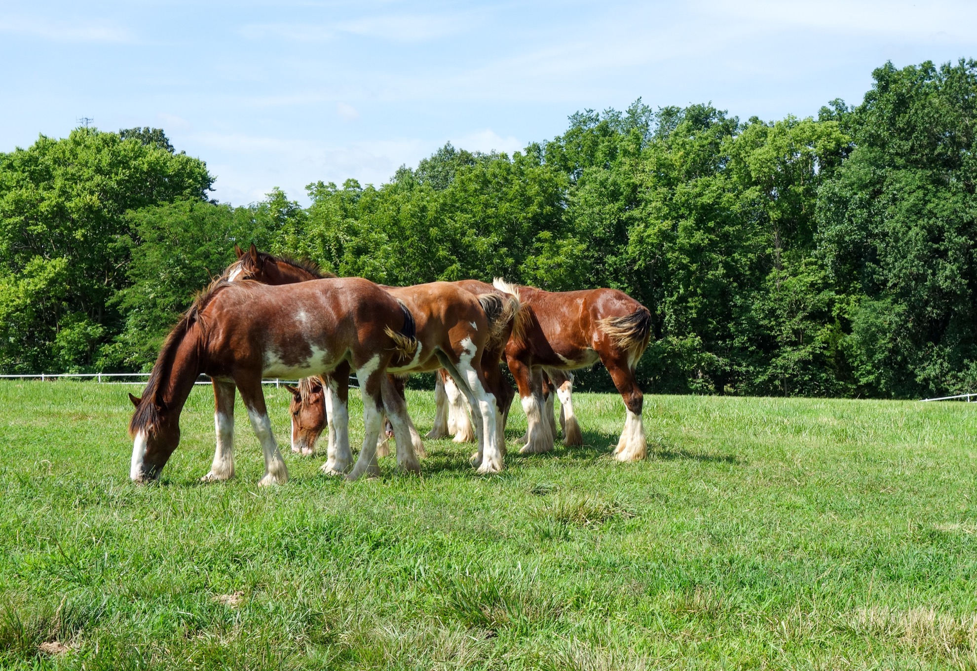 How To Visit Warm Springs Ranch | TravelAwaits