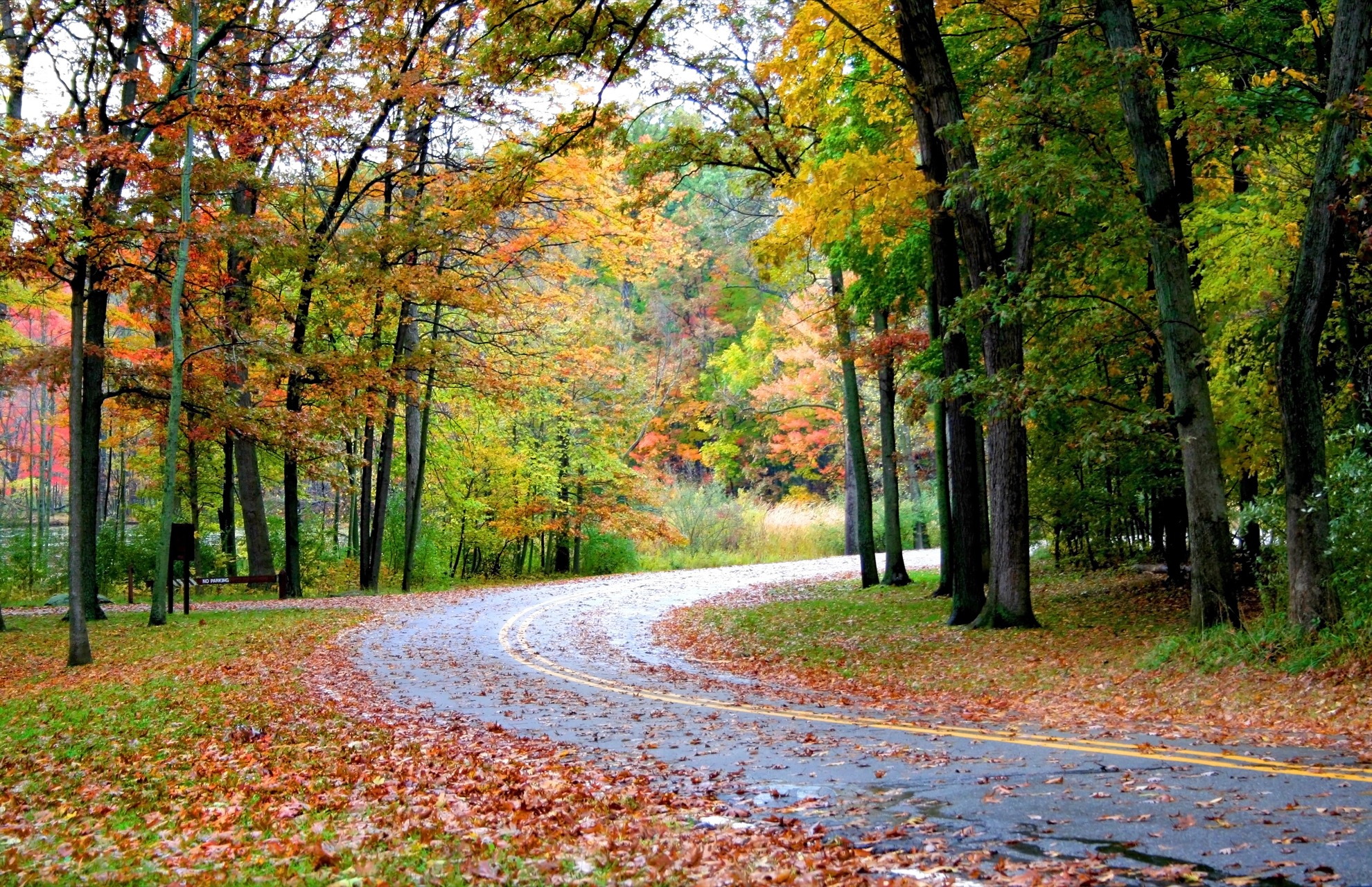 Scenic Road Trips For The Fall | TravelAwaits
