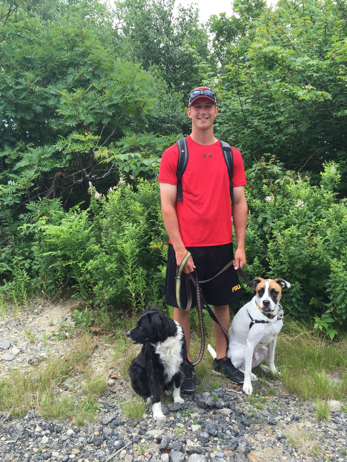 11 Essential Tips For Road-Tripping With Your Pet