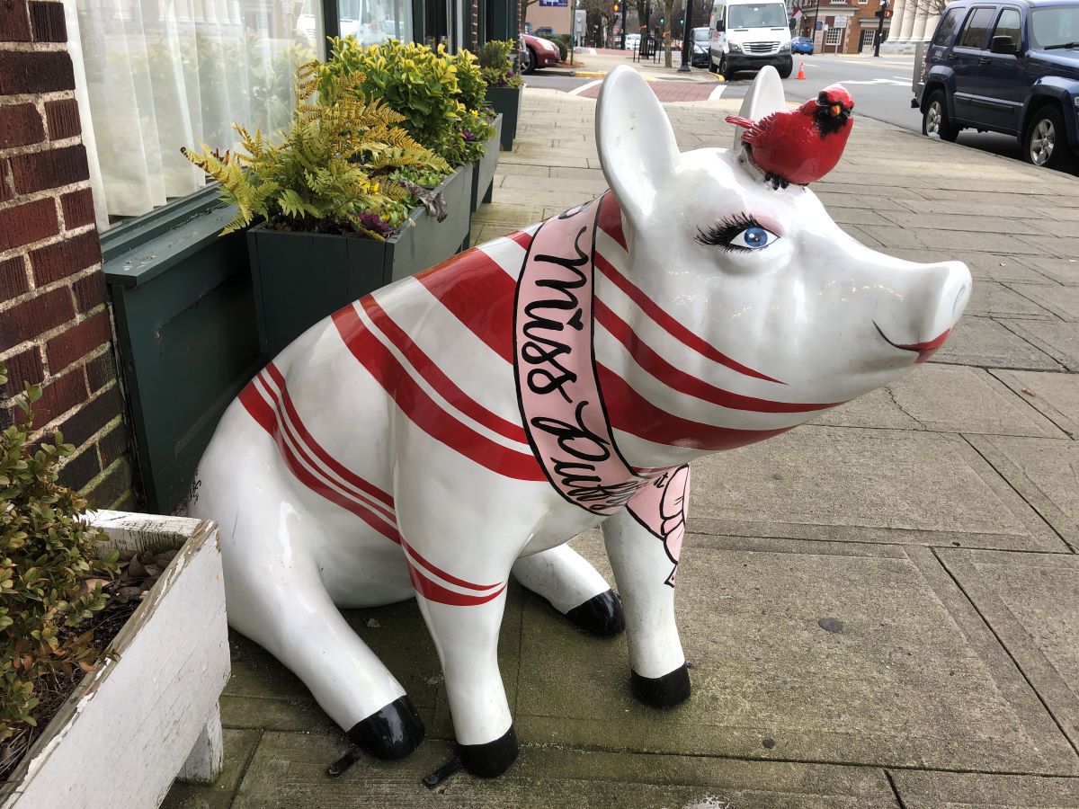 Best Things To Do In Lexington