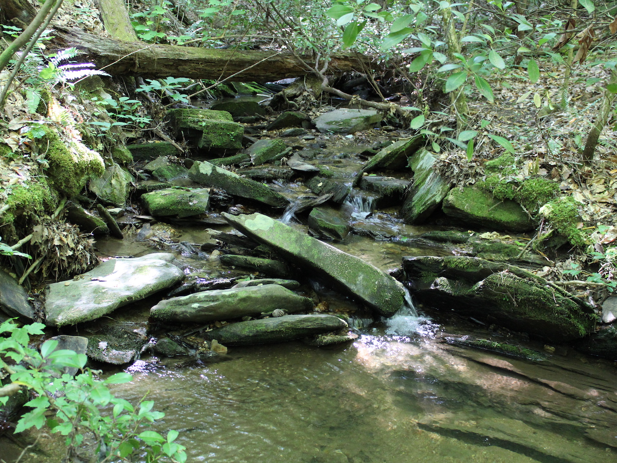 11 Important Tips For Hiking Alabama’s Pinhoti Trail | TravelAwaits