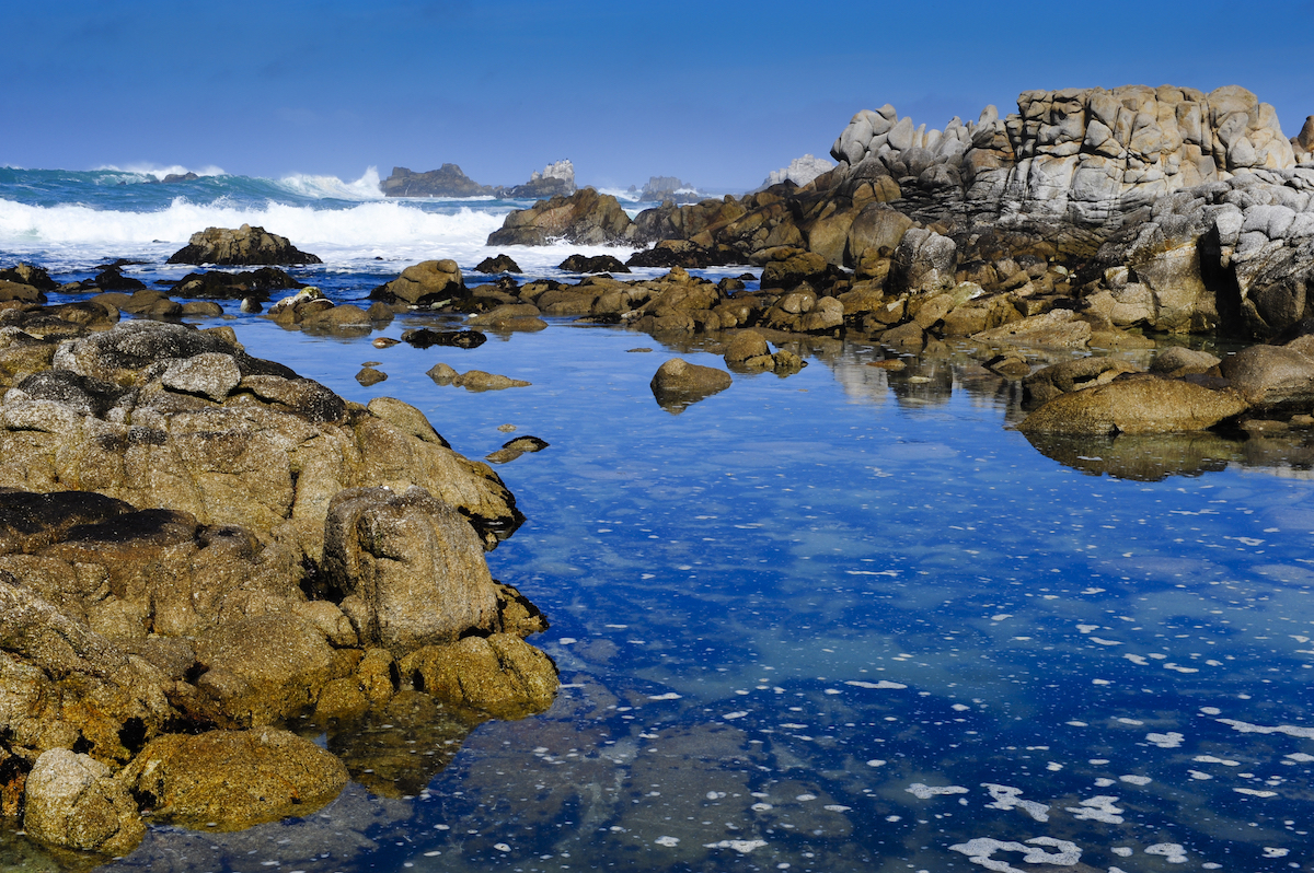 The Best Things To Do In Beautiful Pacific Grove