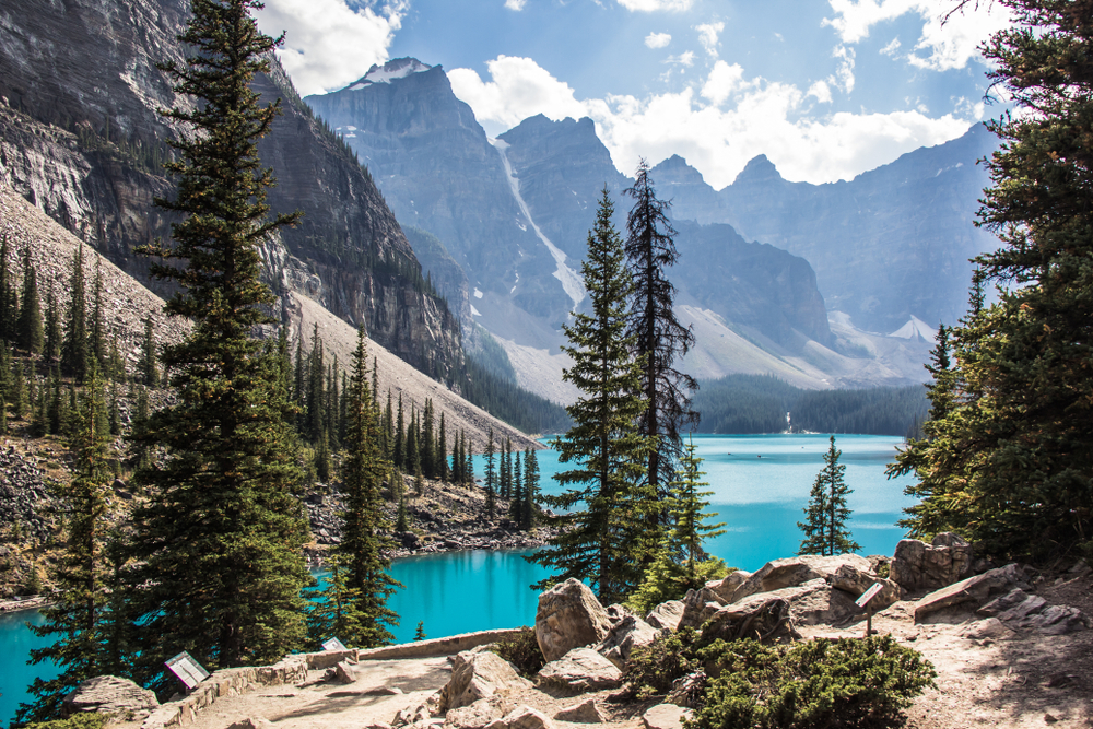 Here’s Why The Shimmering Turquoise Waters Of Peyto Lake Look So Bright