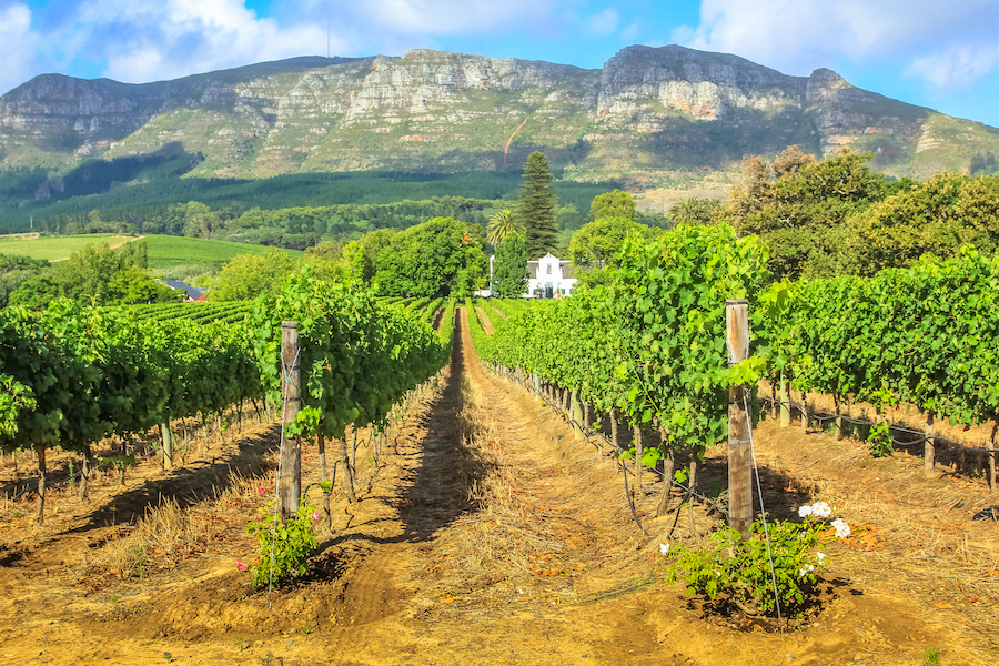 The 7 Best International Wine Regions According To A Wine Lover