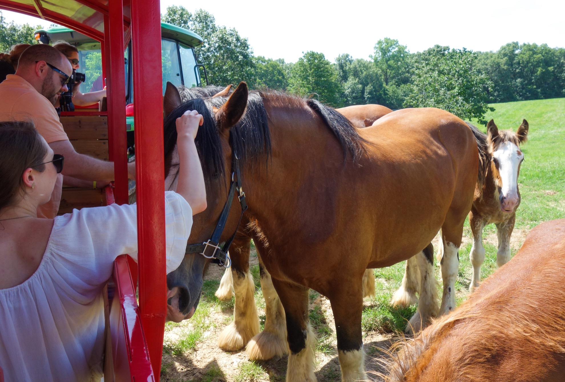 How To Visit Warm Springs Ranch | TravelAwaits
