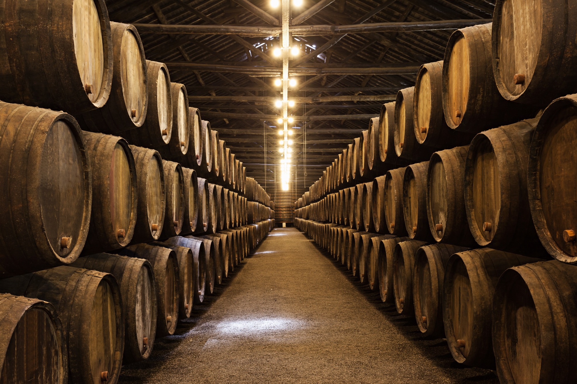 Wine Tasting In Porto: 11 Things To Know Before You Go | TravelAwaits