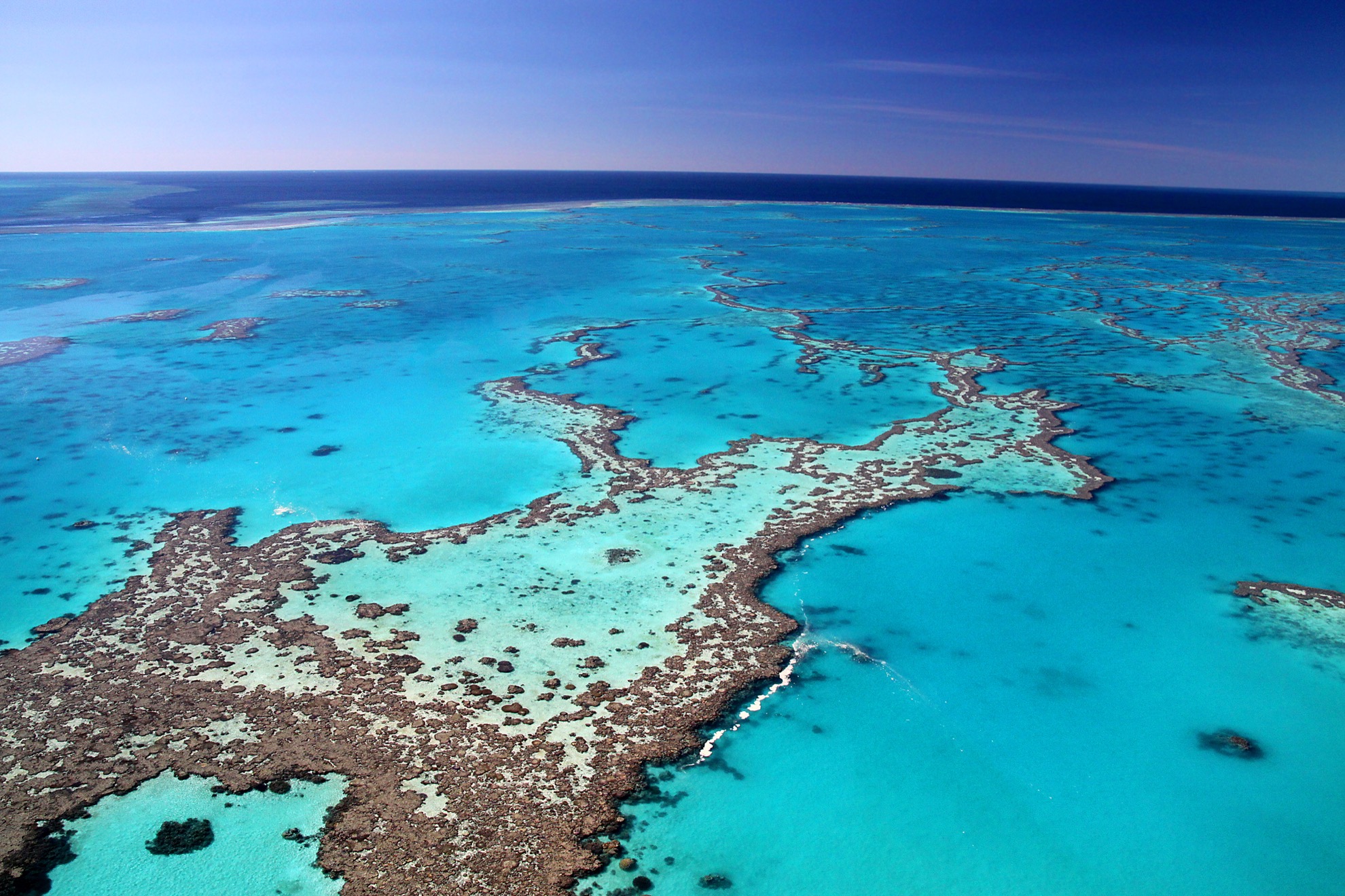 Great Barrier Reef Vs. Belize Barrier Reef: 6 Key Differences To Know ...