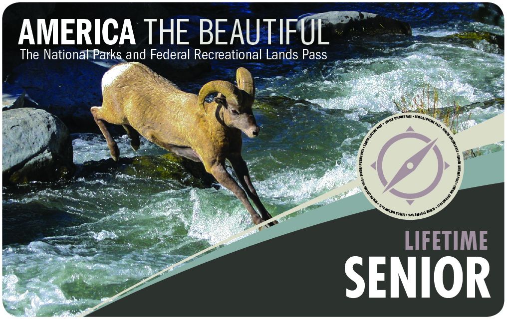 How To Get A National Parks Senior Pass | TravelAwaits