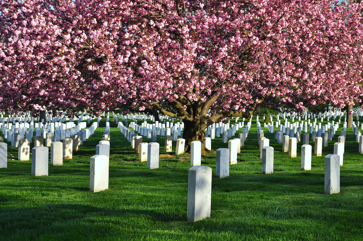 6 Most Interesting Cemeteries To Visit In The U.S.