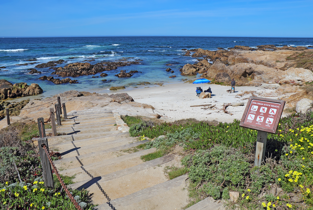 The Best Things To Do In Beautiful Pacific Grove