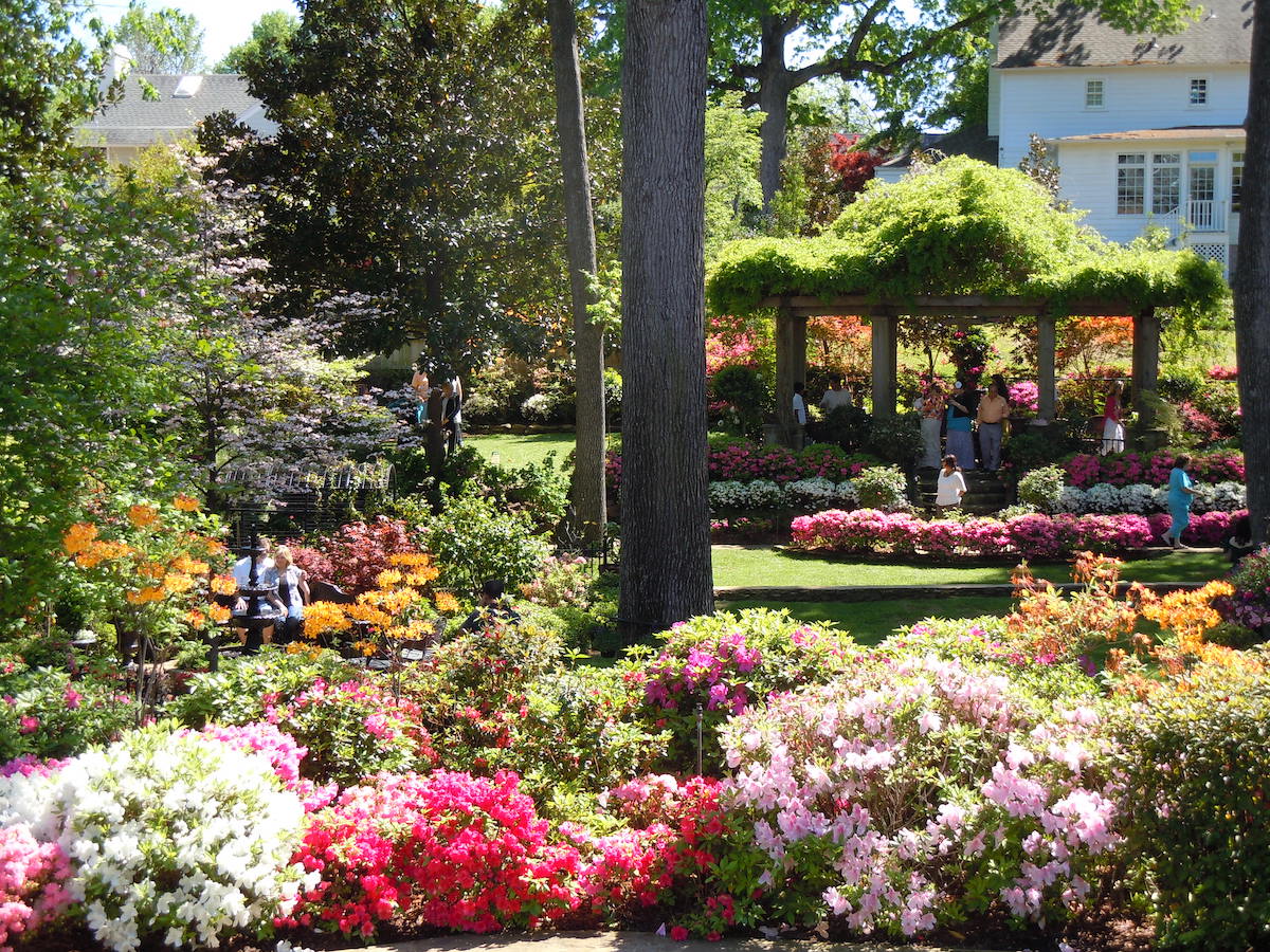 How To Spend A Fantastic Weekend In Charming Tyler, Texas | TravelAwaits