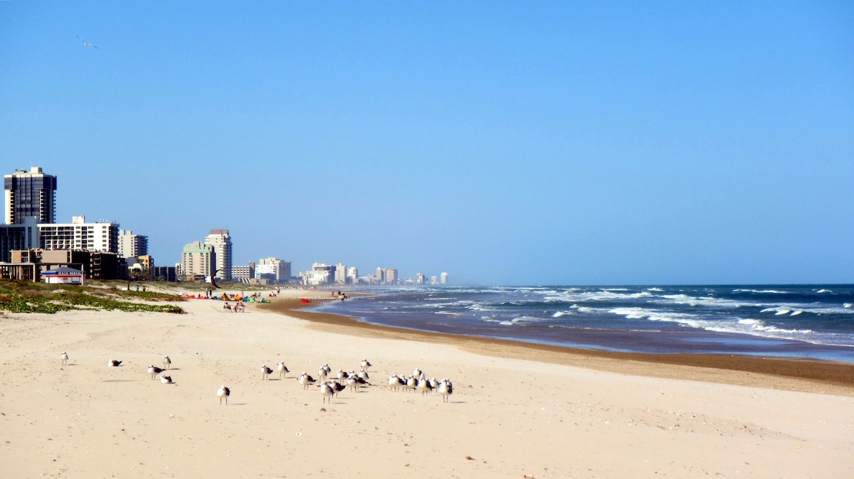 The Top Texas Beach Towns You Must Visit | TravelAwaits