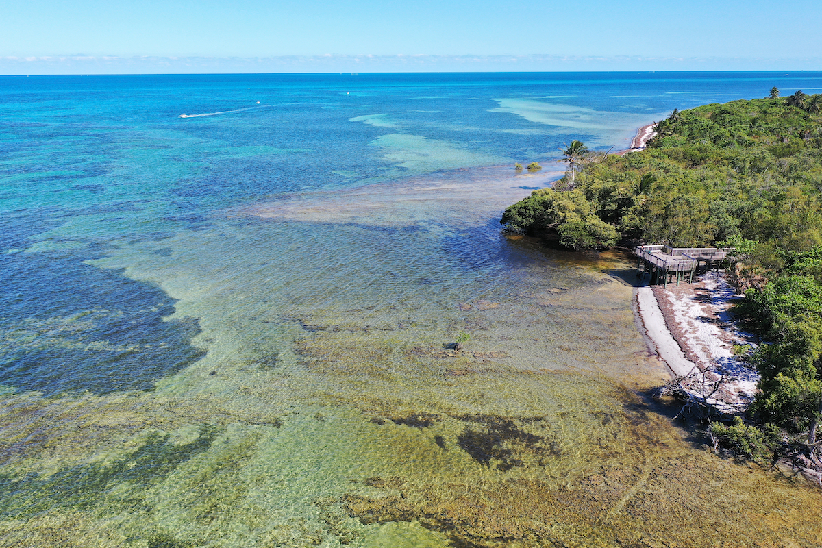 Day Trip From Miami: The Best Things To Do In Key Biscayne