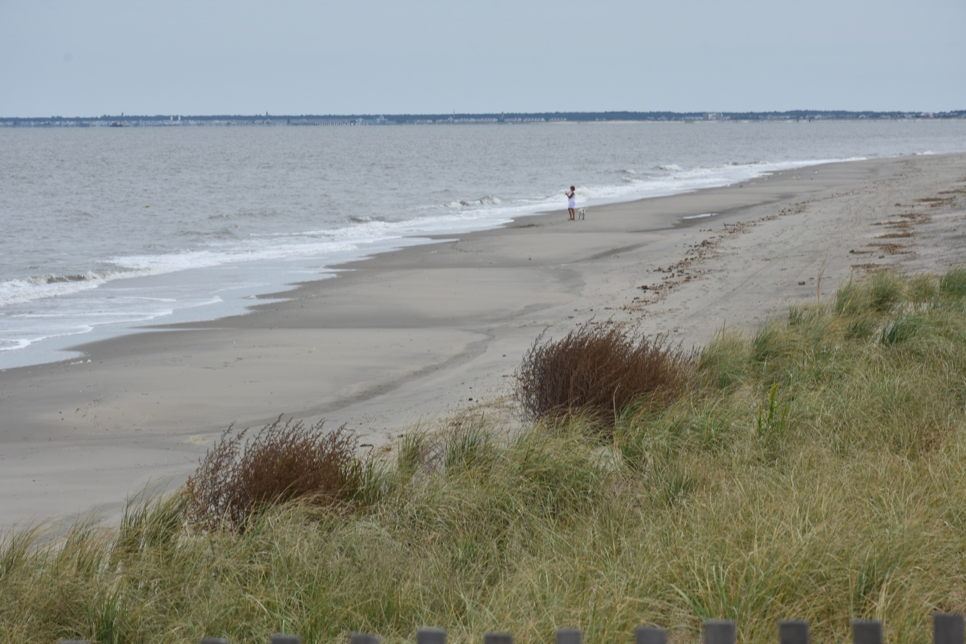 The Best And Most Beautiful Delaware Beaches To Visit