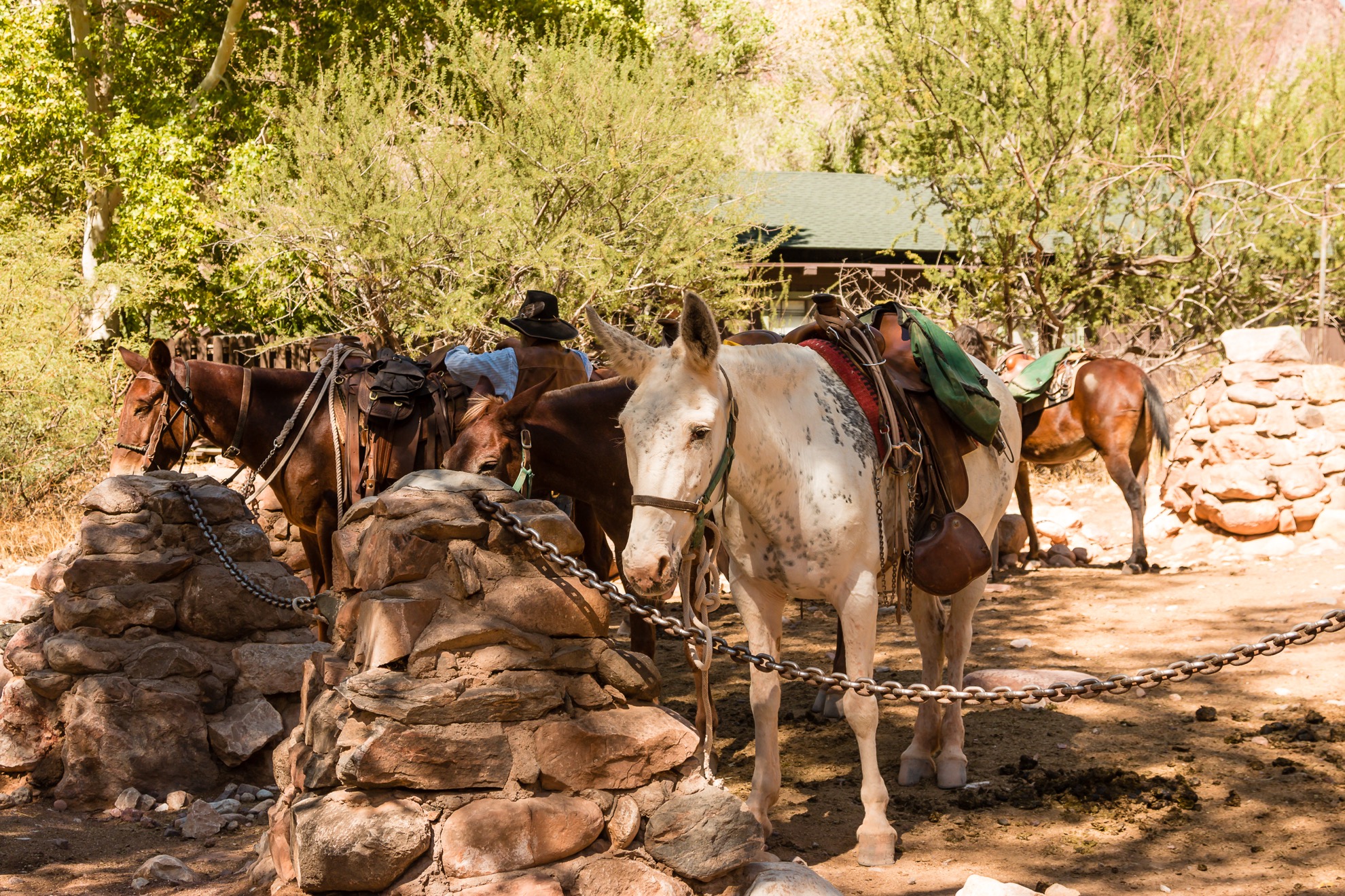 15 Truly Unique Experiences To Have In Arizona