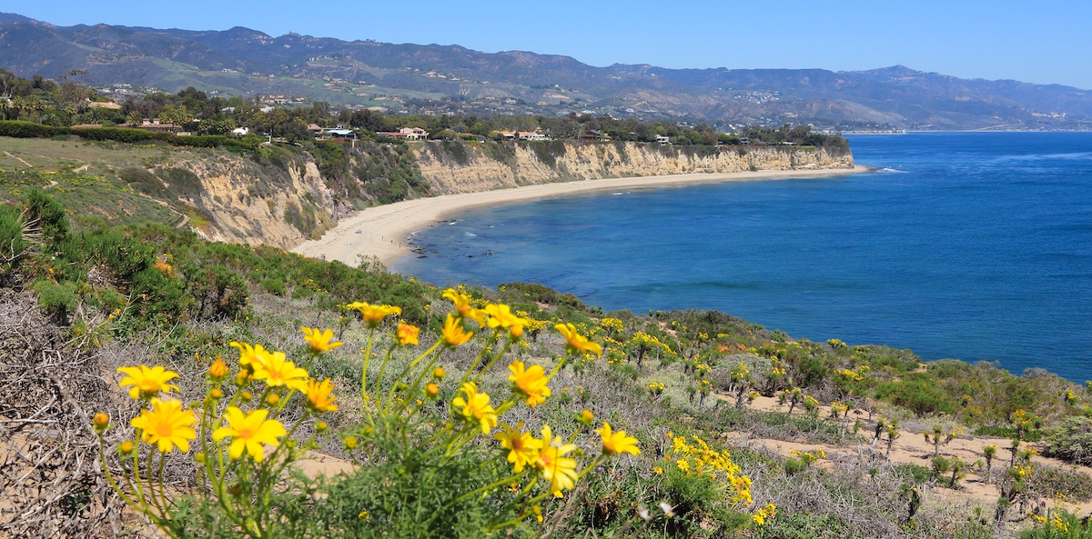 Best Places To See Spring Flowers In Southern California