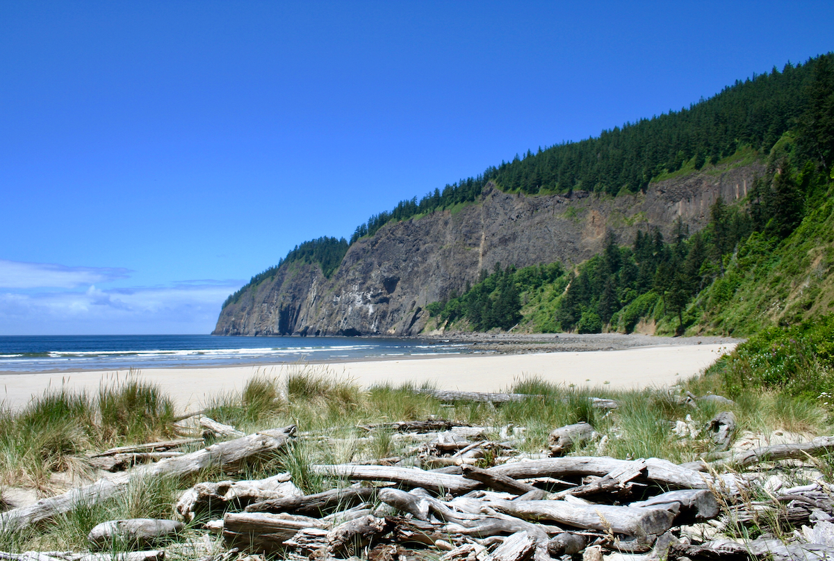 7 Tips For Whale Watching Along The Oregon Coast
