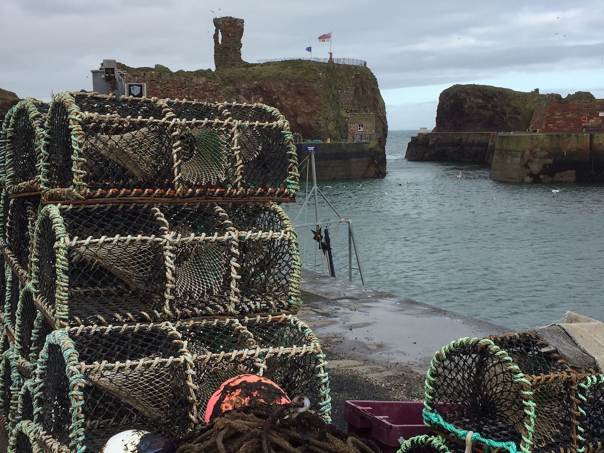 10 Things To Do In Dunbar, Scotland, John Muir’s Hometown