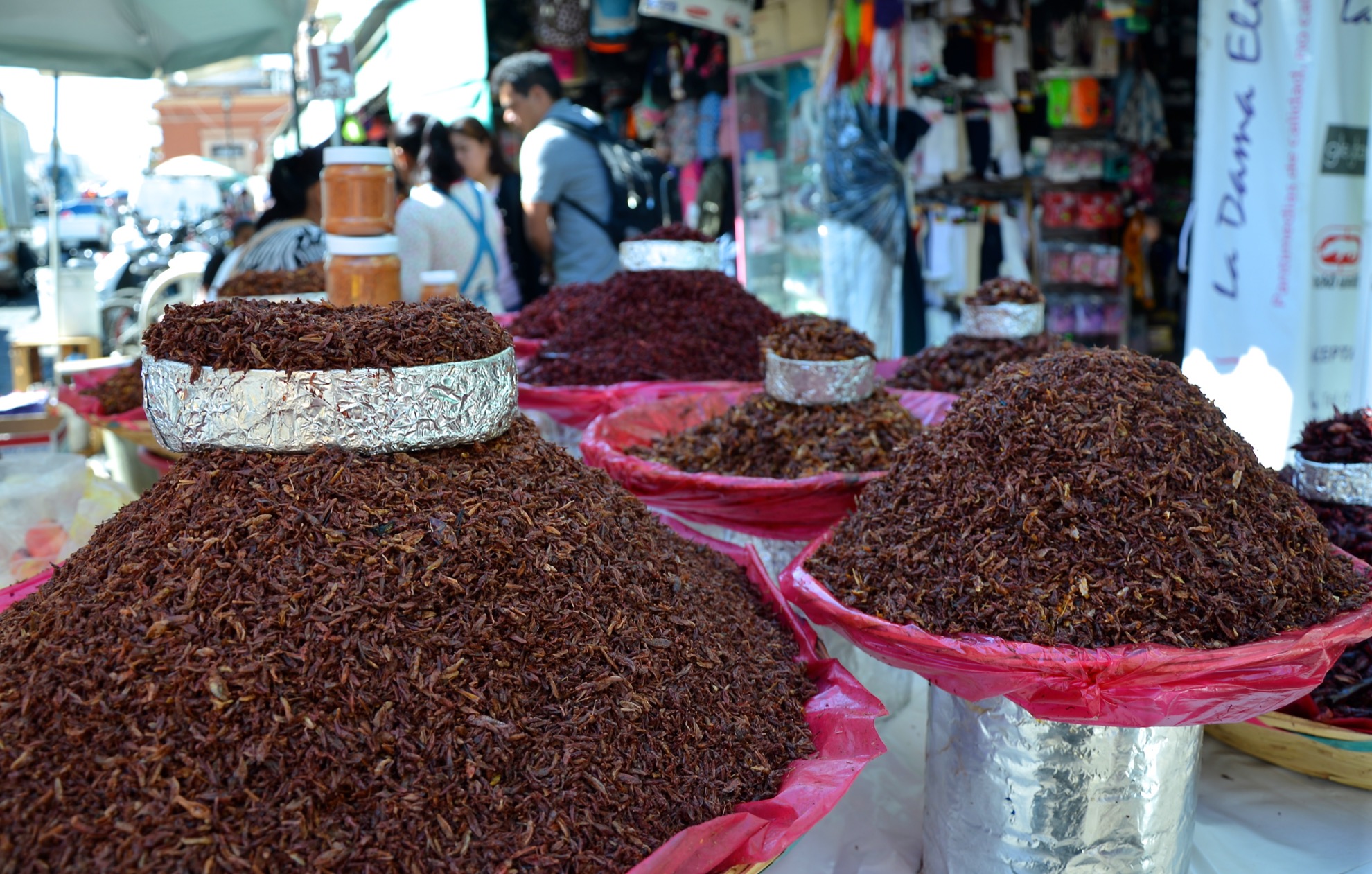 The Culinary Tradition Behind Chapulines: Oaxaca’s Fried Grasshoppers ...