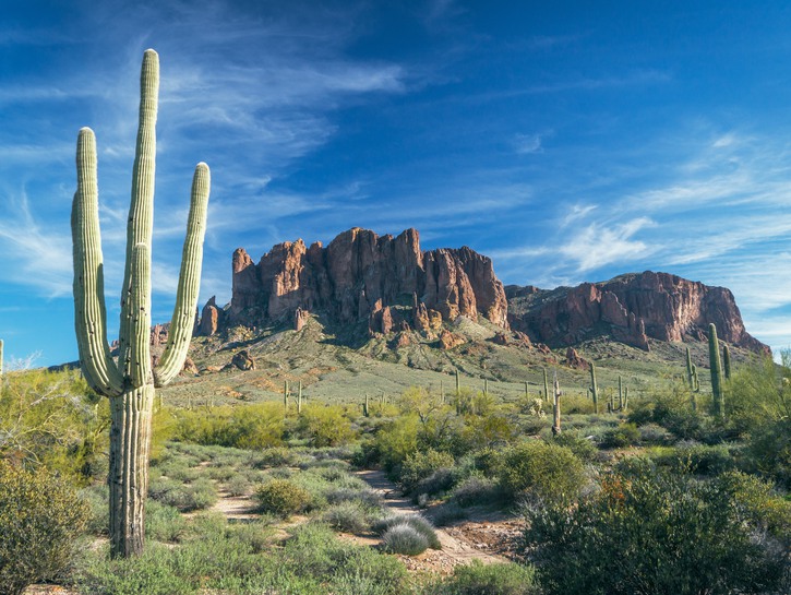 Phoenix Day Trip: Drive The Apache Trail | TravelAwaits