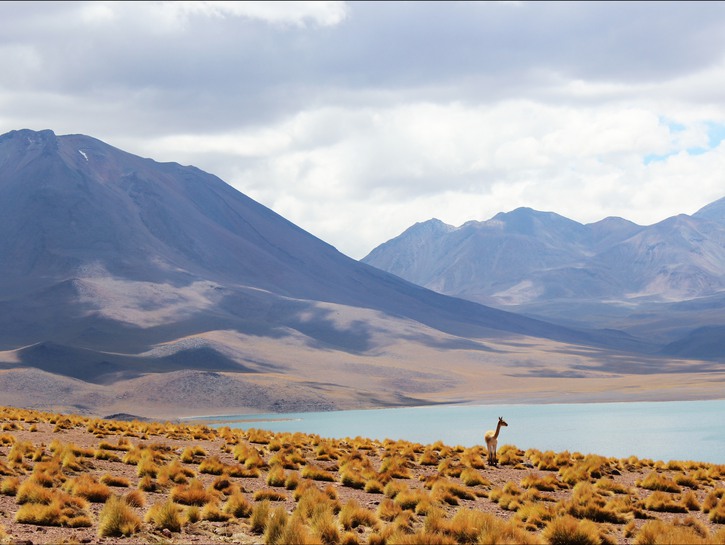 5 Things You Didn't Know About Chile | TravelAwaits