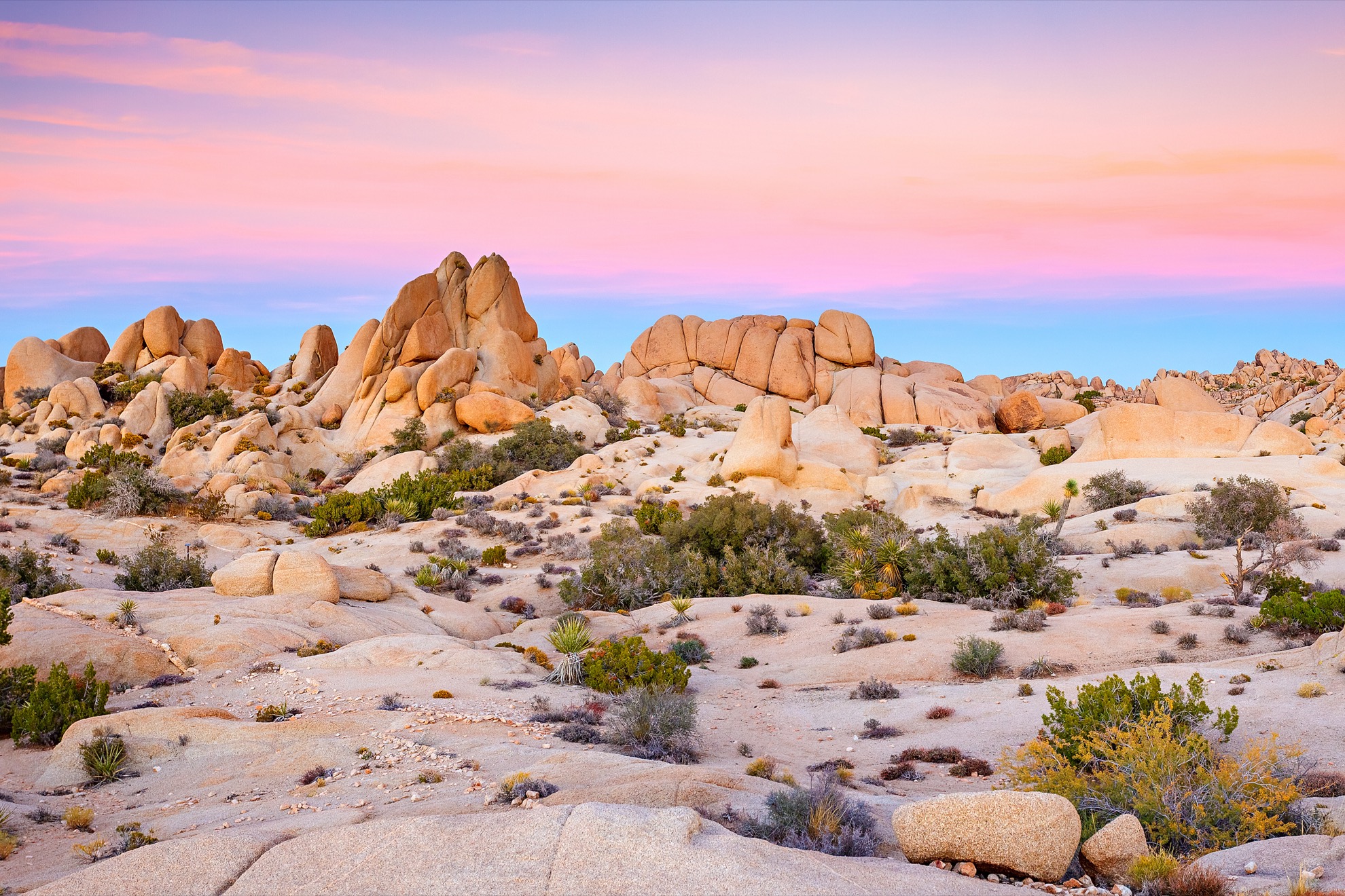 7 Fast Facts About Joshua Tree National Park