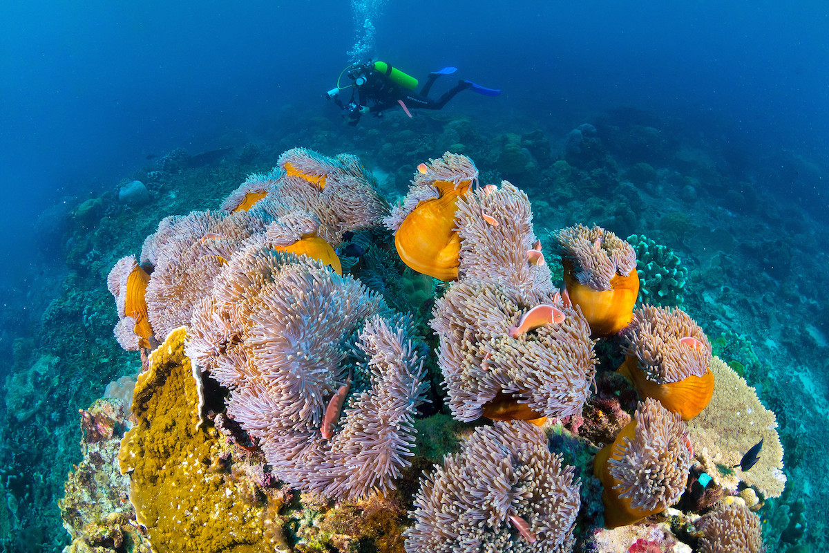 7 Fantastic Reasons To Visit Gorgeous Christmas Island | TravelAwaits
