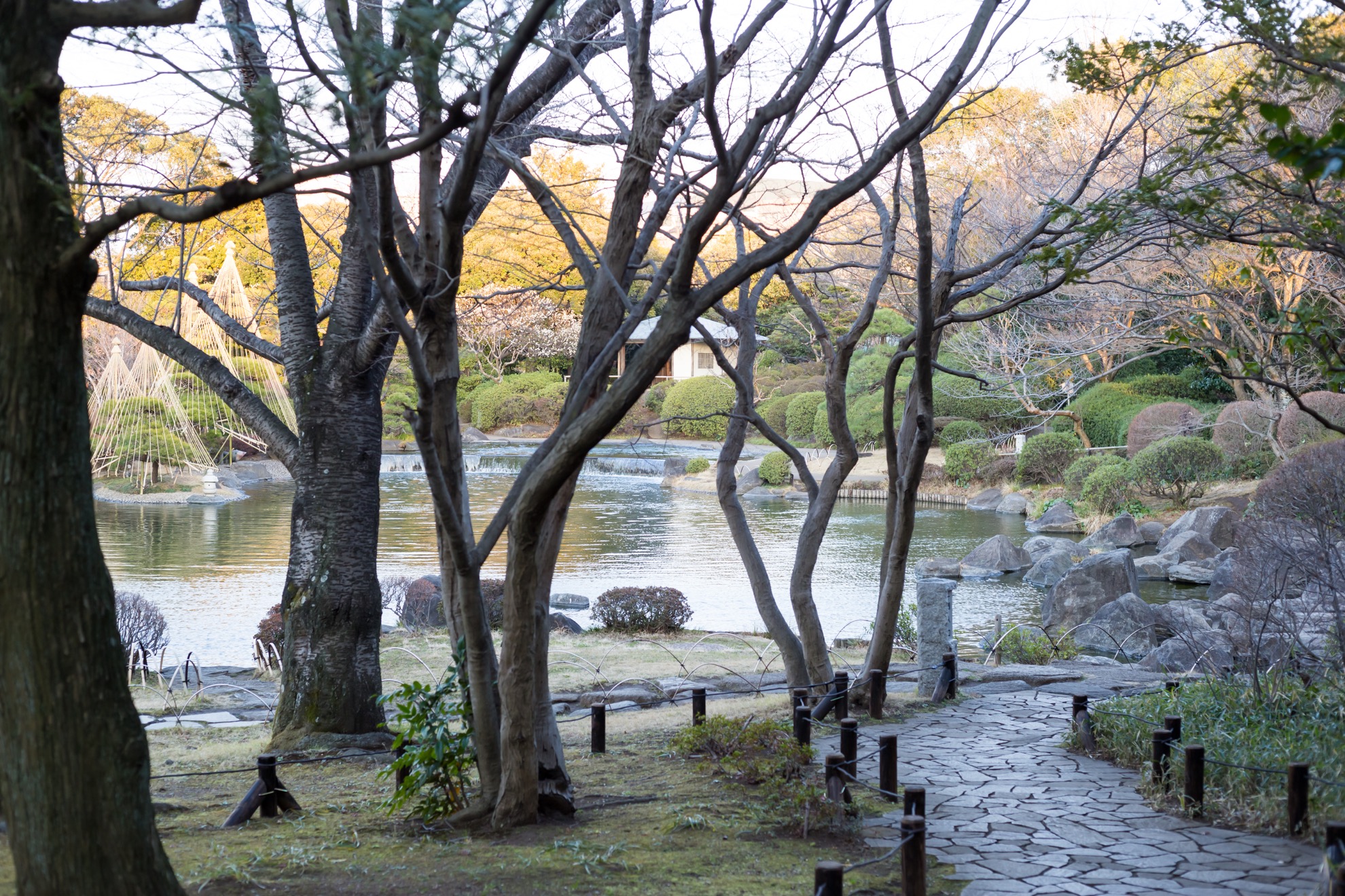10 Great Free Things To Do Outdoors In (And Around) Tokyo | TravelAwaits