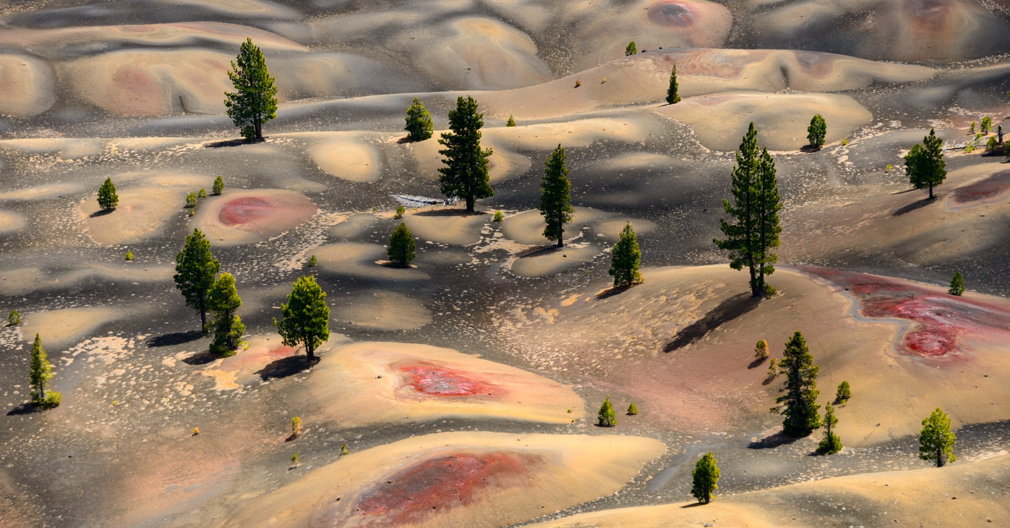 The Painted Sand Dunes Of Lassen Volcanic National Park