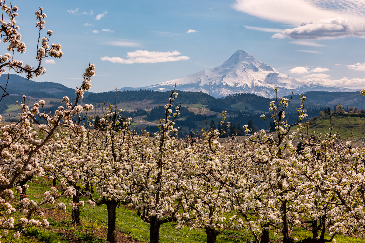 Best Things To Do In The Columbia River Gorge