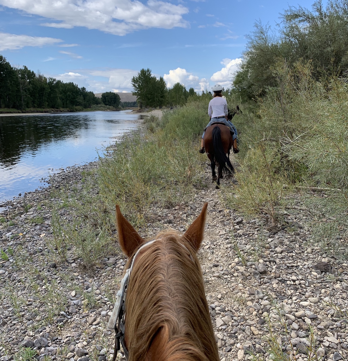 Why We Can't Stop Dreaming About Montana | TravelAwaits