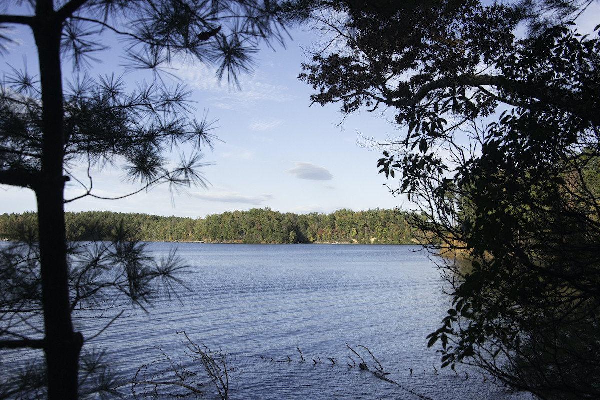 Best State Parks In The North Carolina Mountains