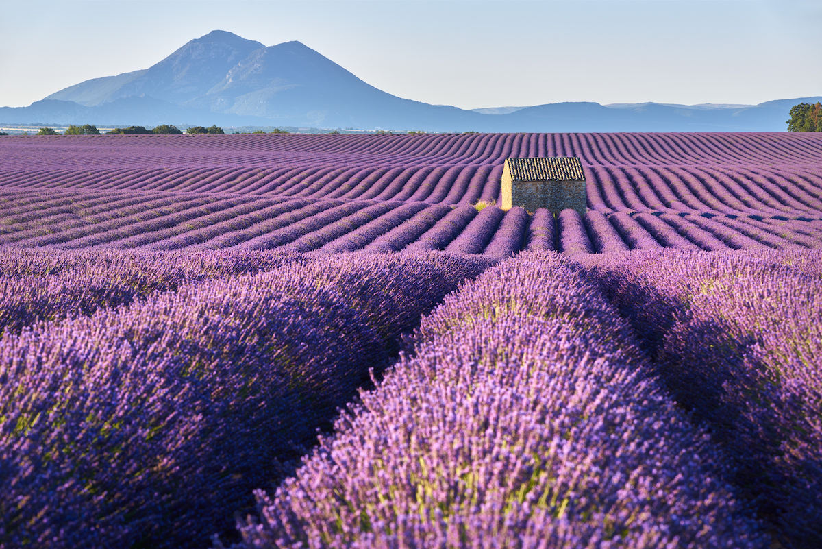 Best Things To Do In Provence
