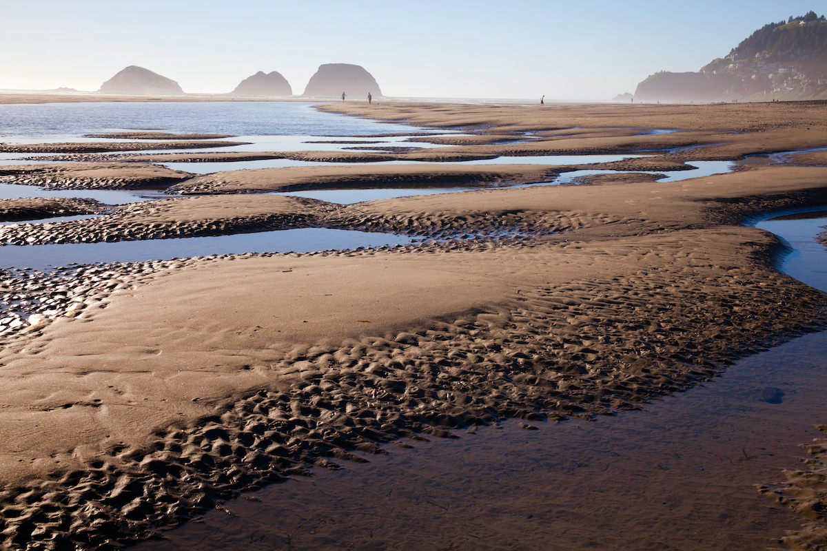 8 Best Experiences Along Three Capes Scenic Loop