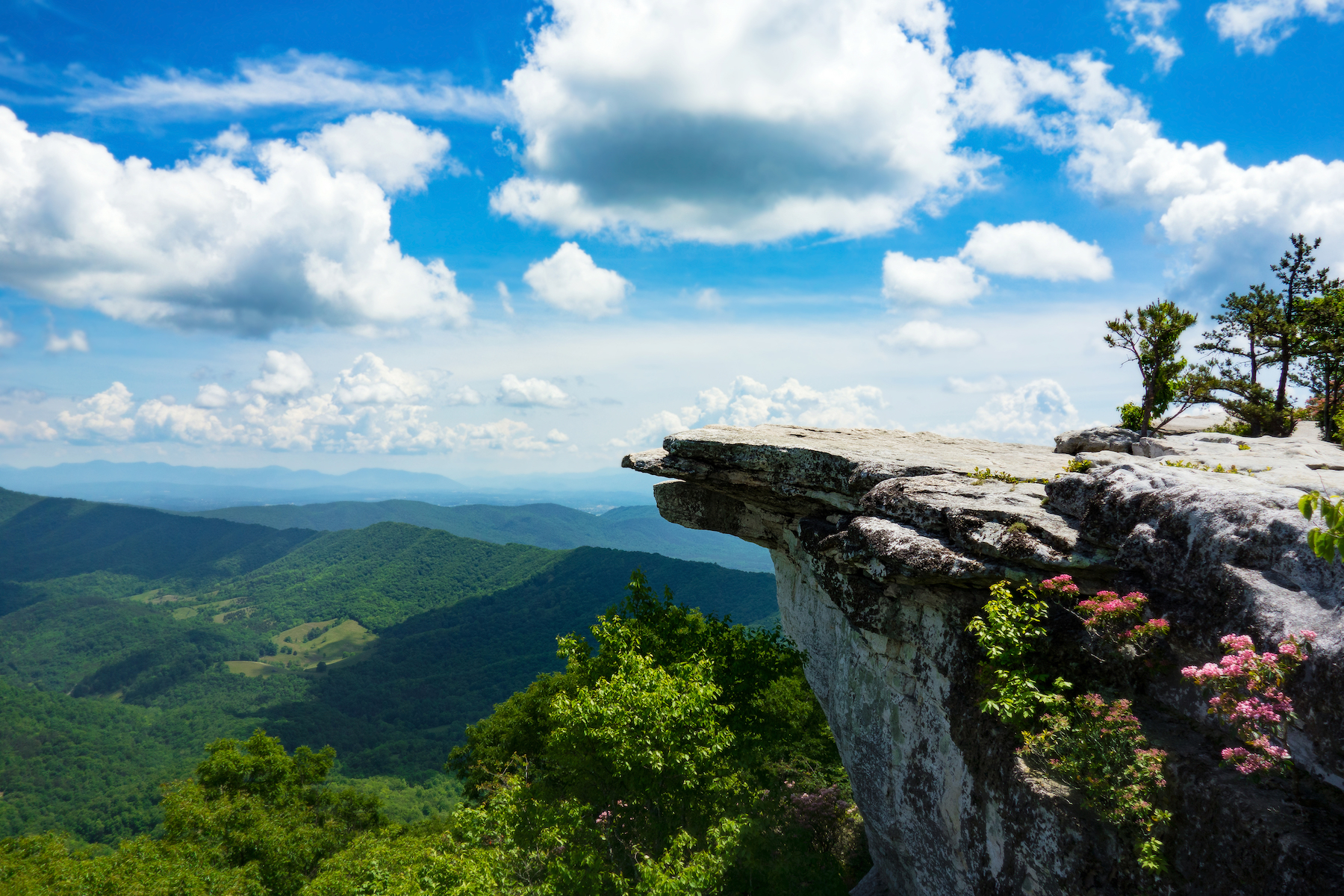 12 Best Hikes In Virginia
