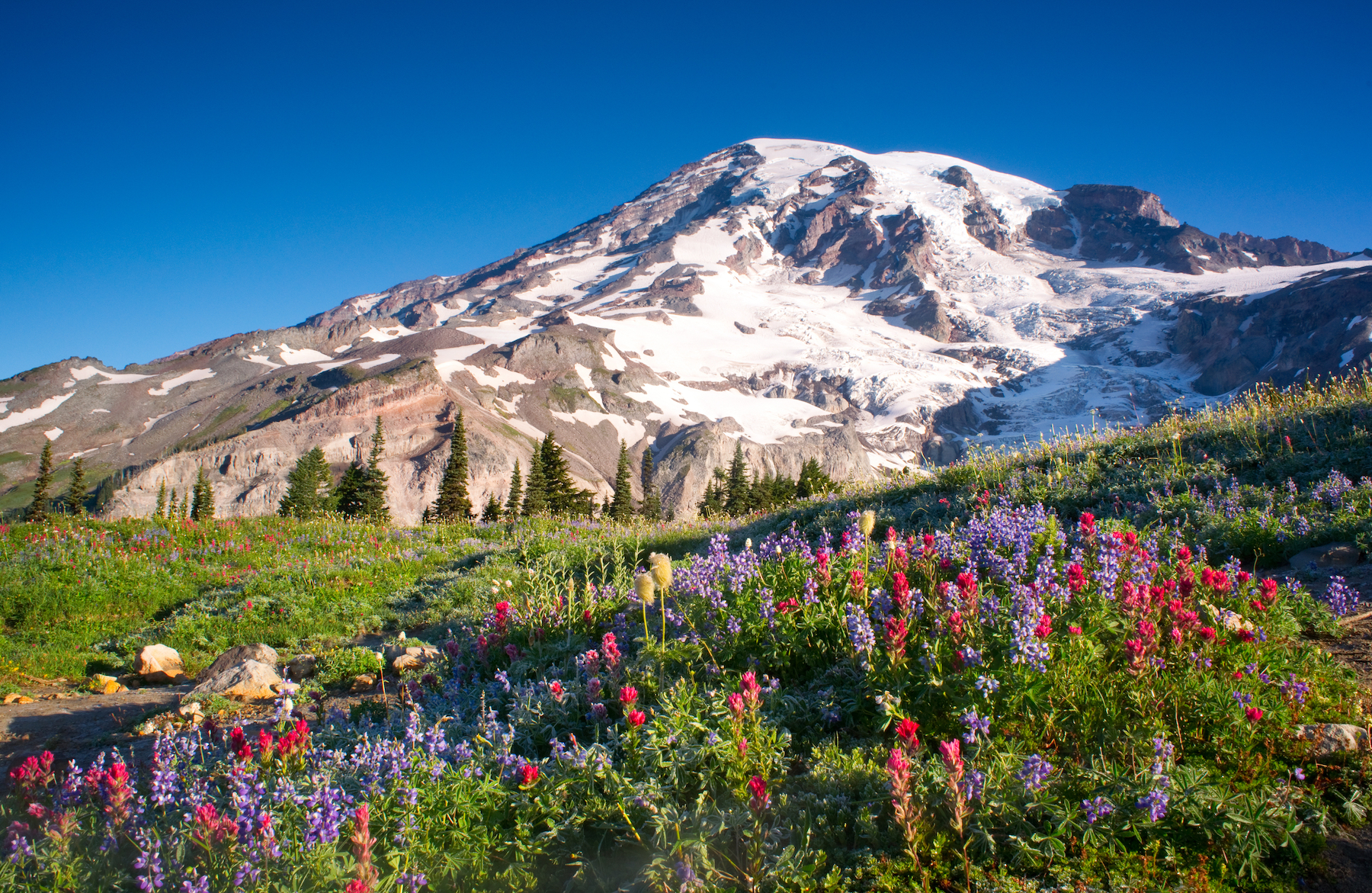 How To Visit 6 Lovely Volcanoes In The Cascades | TravelAwaits