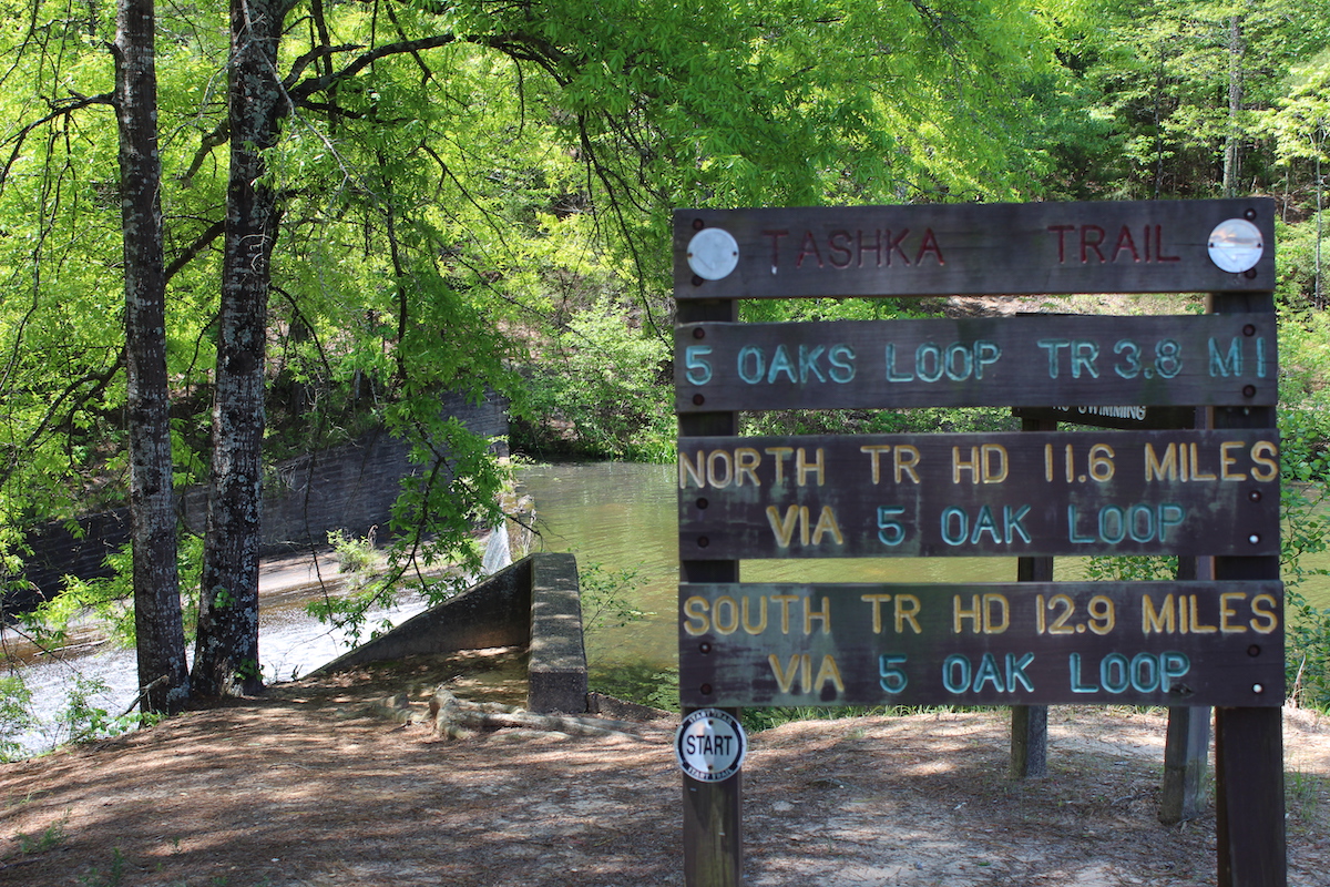 8 Best Mountain Biking Trails In Alabama | TravelAwaits