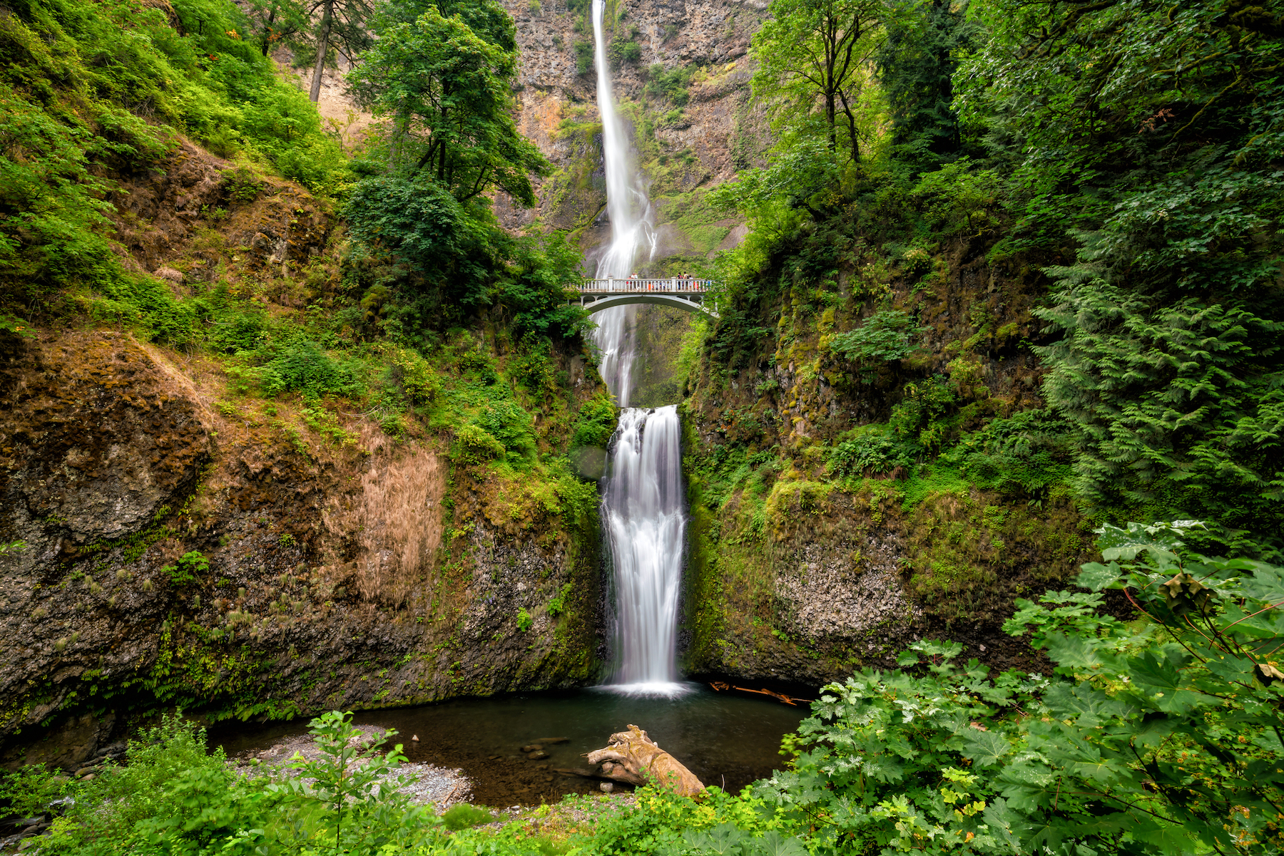 9 Best Hikes In Stunning Oregon